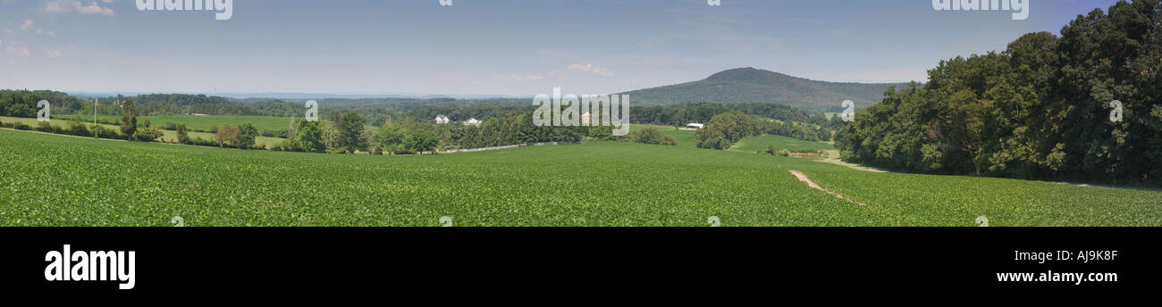Panorama of Sugarloaf Mountain, Maryland in the summer Stock Photo - Alamy