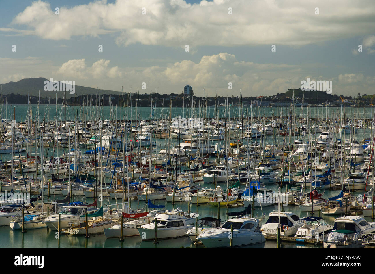 Westhaven Marina, Auckland, North Island, New Zealand Stock Photo - Alamy