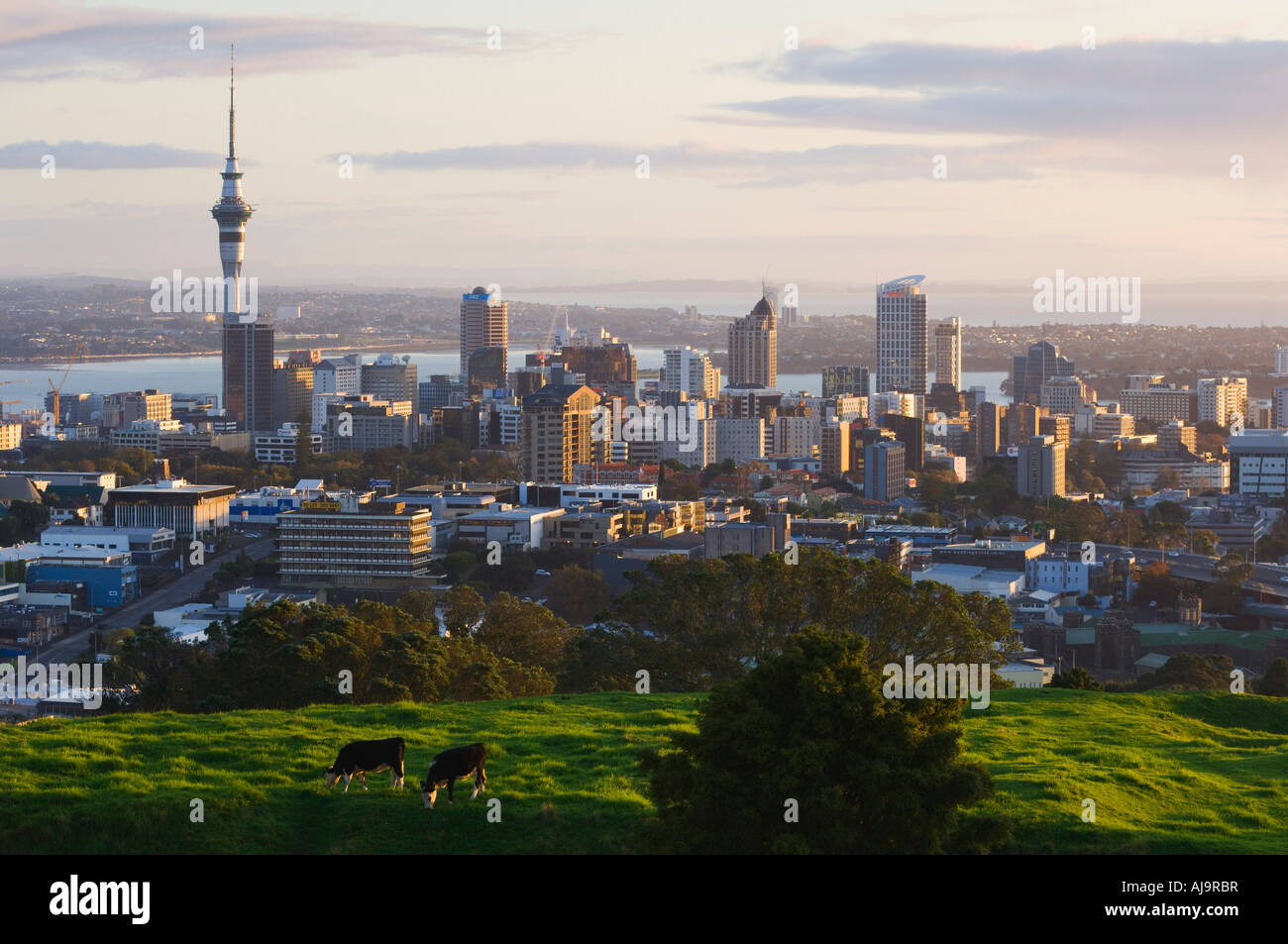 Skyline, Auckland, North Island, New Zealand Stock Photo - Alamy