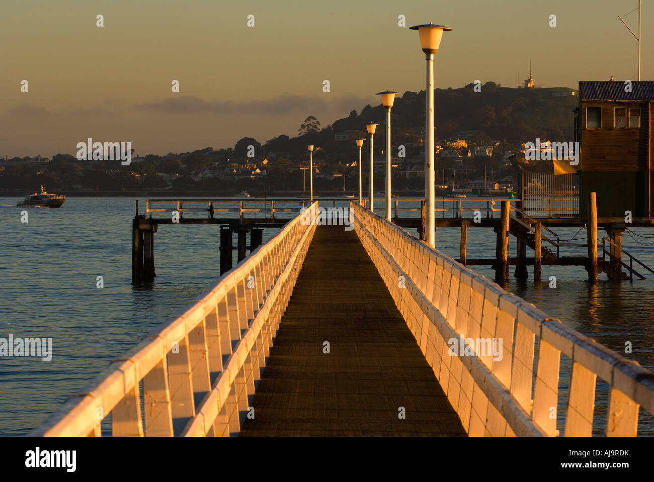 Boardwalk, Okahu Bay, Auckland, North Island, New Zealand Stock Photo - Alamy