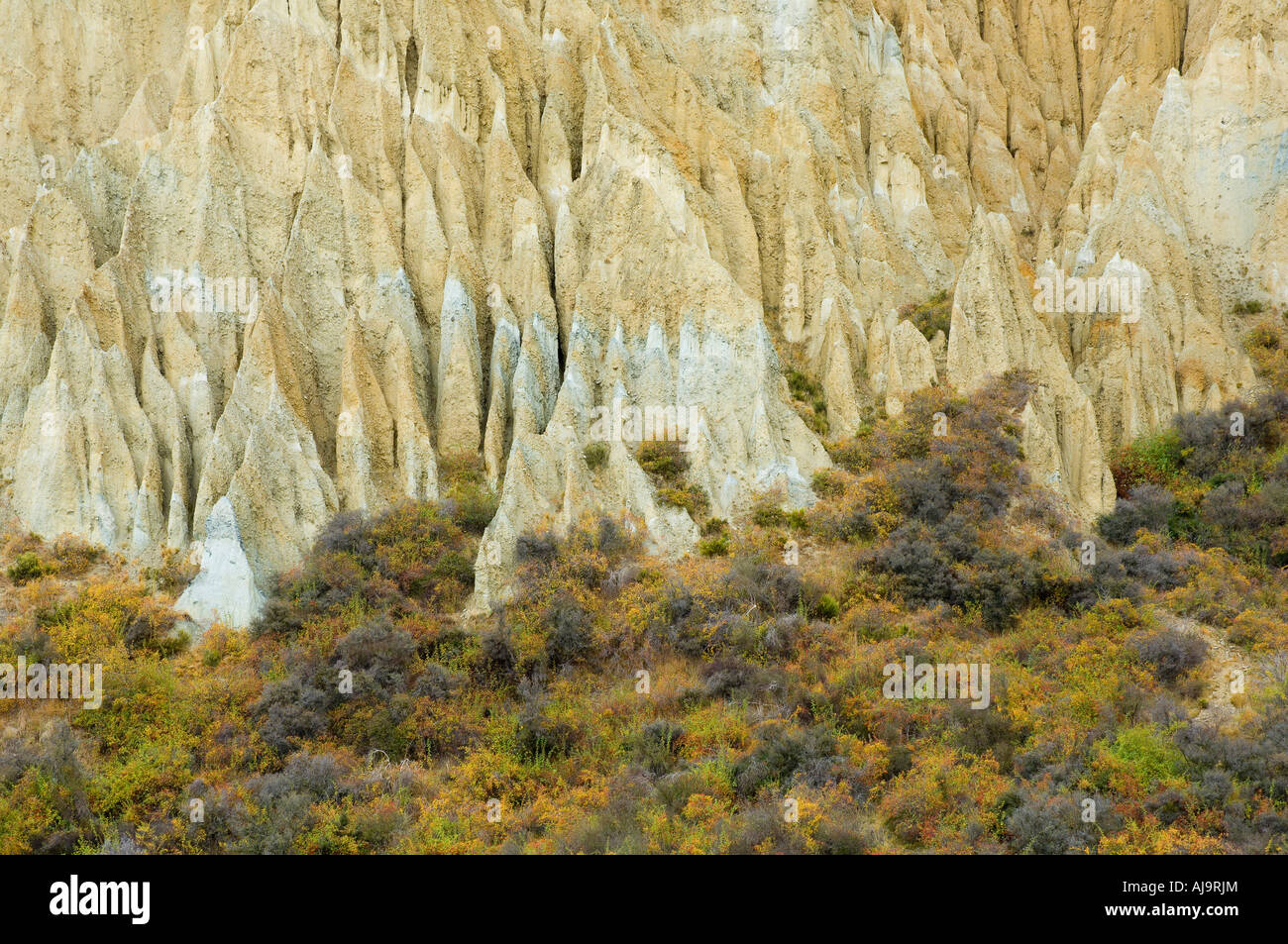 Clay Cliffs, Omarama, South Island, New Zealand Stock Photo - Alamy