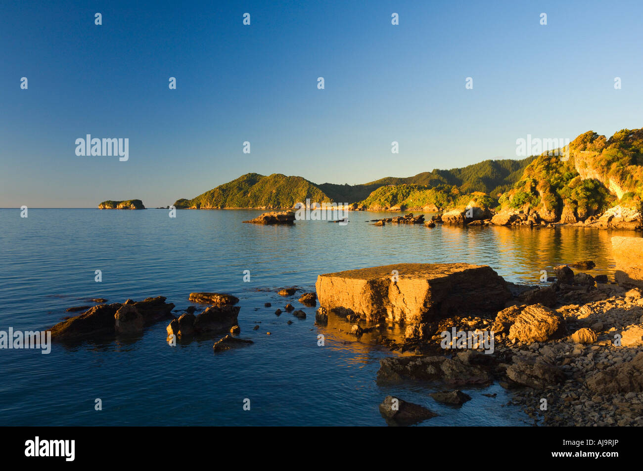 Wainui Bay, South Island, New Zealand Stock Photo - Alamy