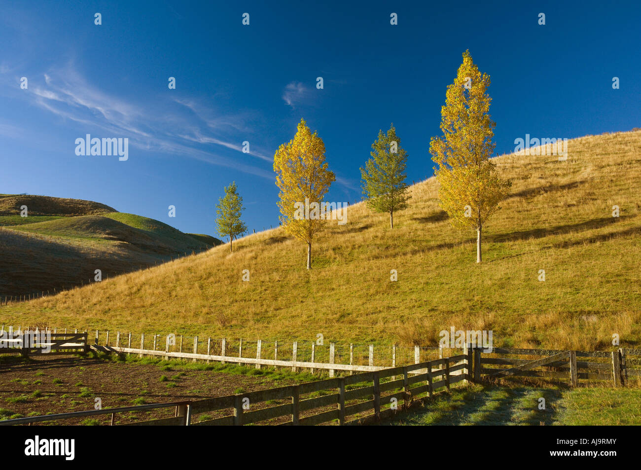 Farmland, Moawhango, North Island, New Zealand Stock Photo - Alamy