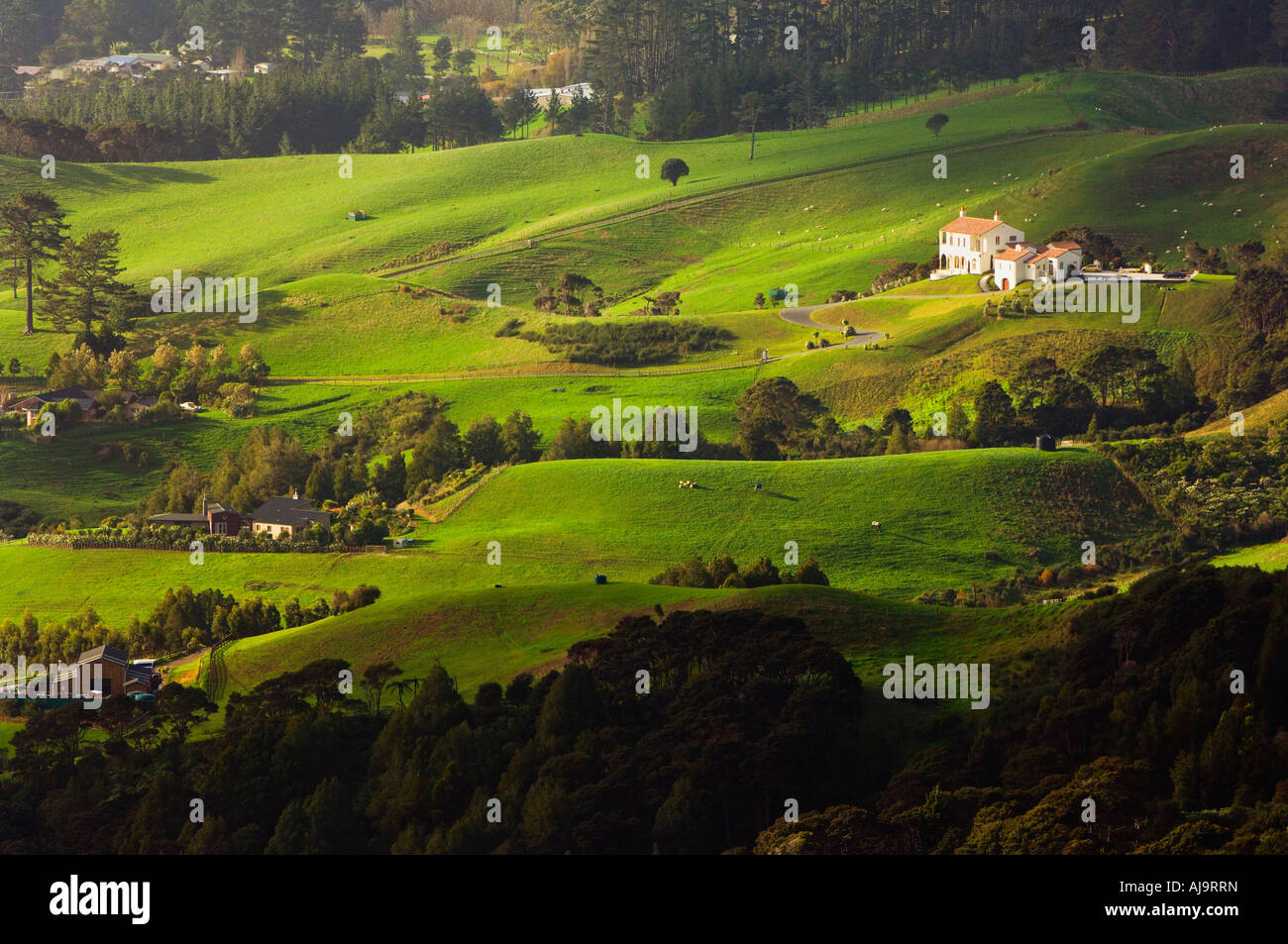 Farmland, Henderson Valley, Waitakere Ranges, North Island, New Zealand ...