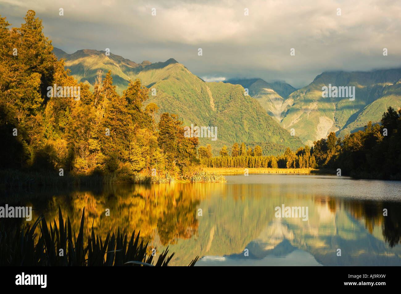 Lake Matheson, Westland, South Island, New Zealand Stock Photo - Alamy