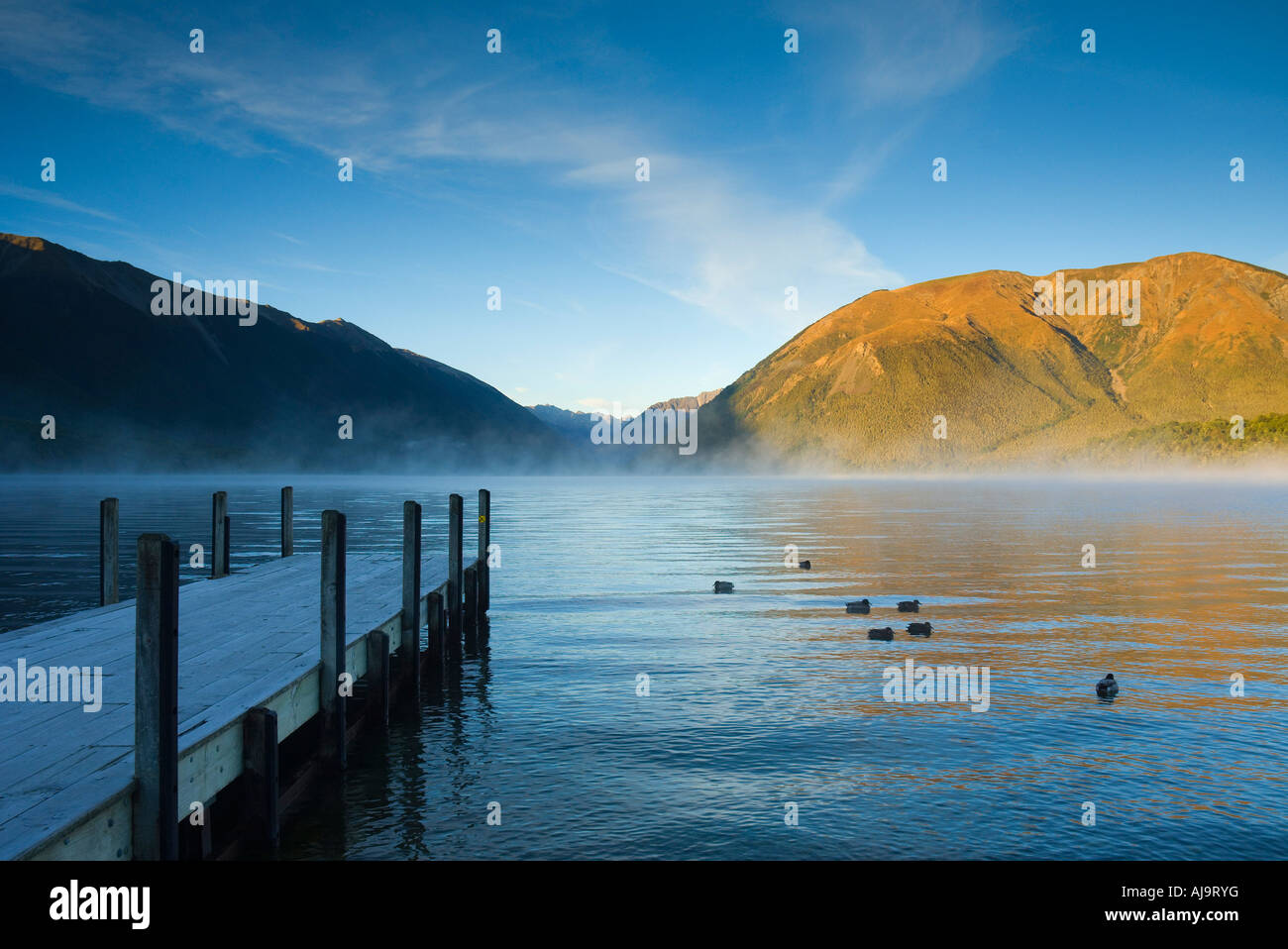 Lake Rotoiti, Nelson Lakes National Park, South Island, New Zealand ...