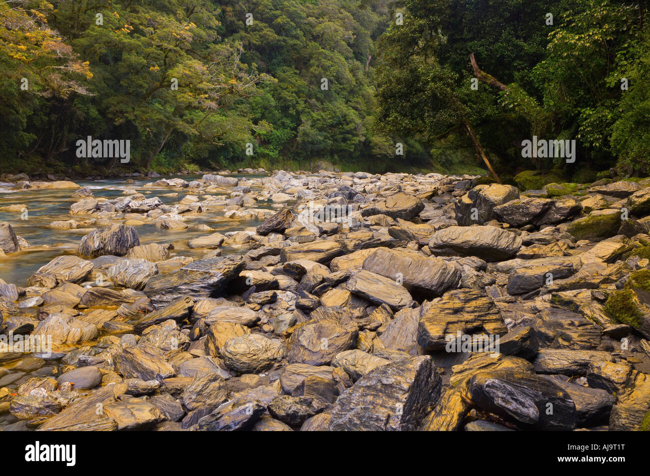 Haast River, Westland, South Island, New Zealand Stock Photo - Alamy