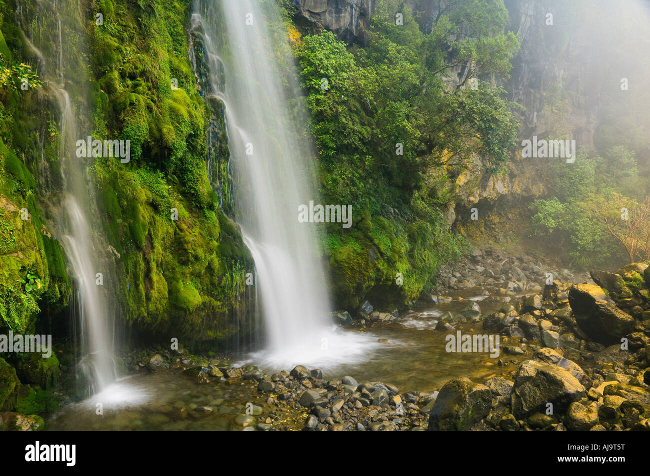 Dawson Falls, Egmont National Park, North Island, New Zealand Stock ...