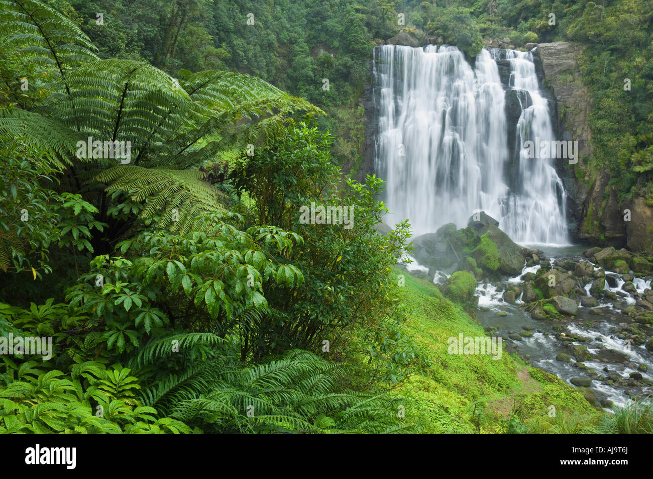 Marokopa Falls, King Country, North Island, New Zealand Stock Photo - Alamy