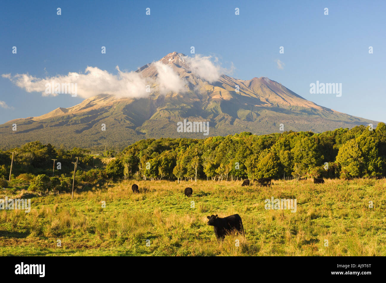 Taranaki images hi-res stock photography and images - Alamy