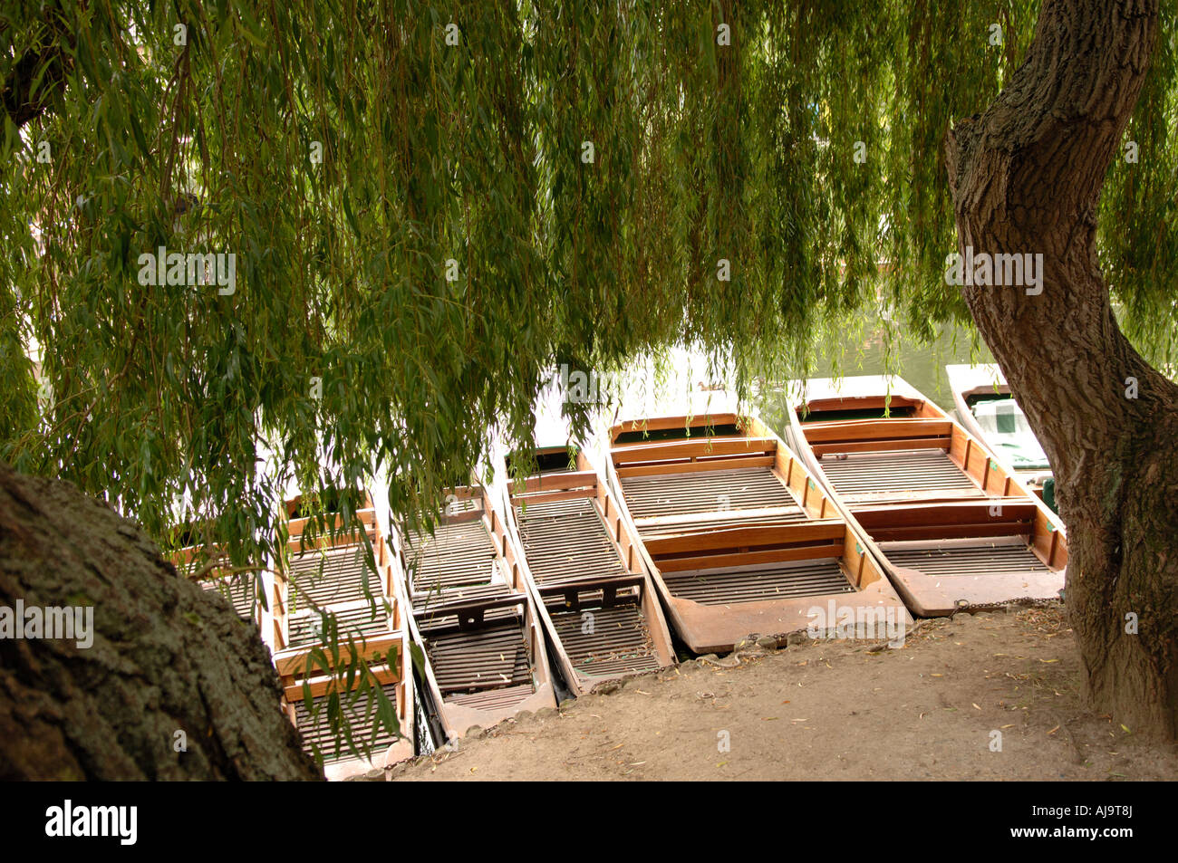 Mill lane in cambridge hi-res stock photography and images - Alamy