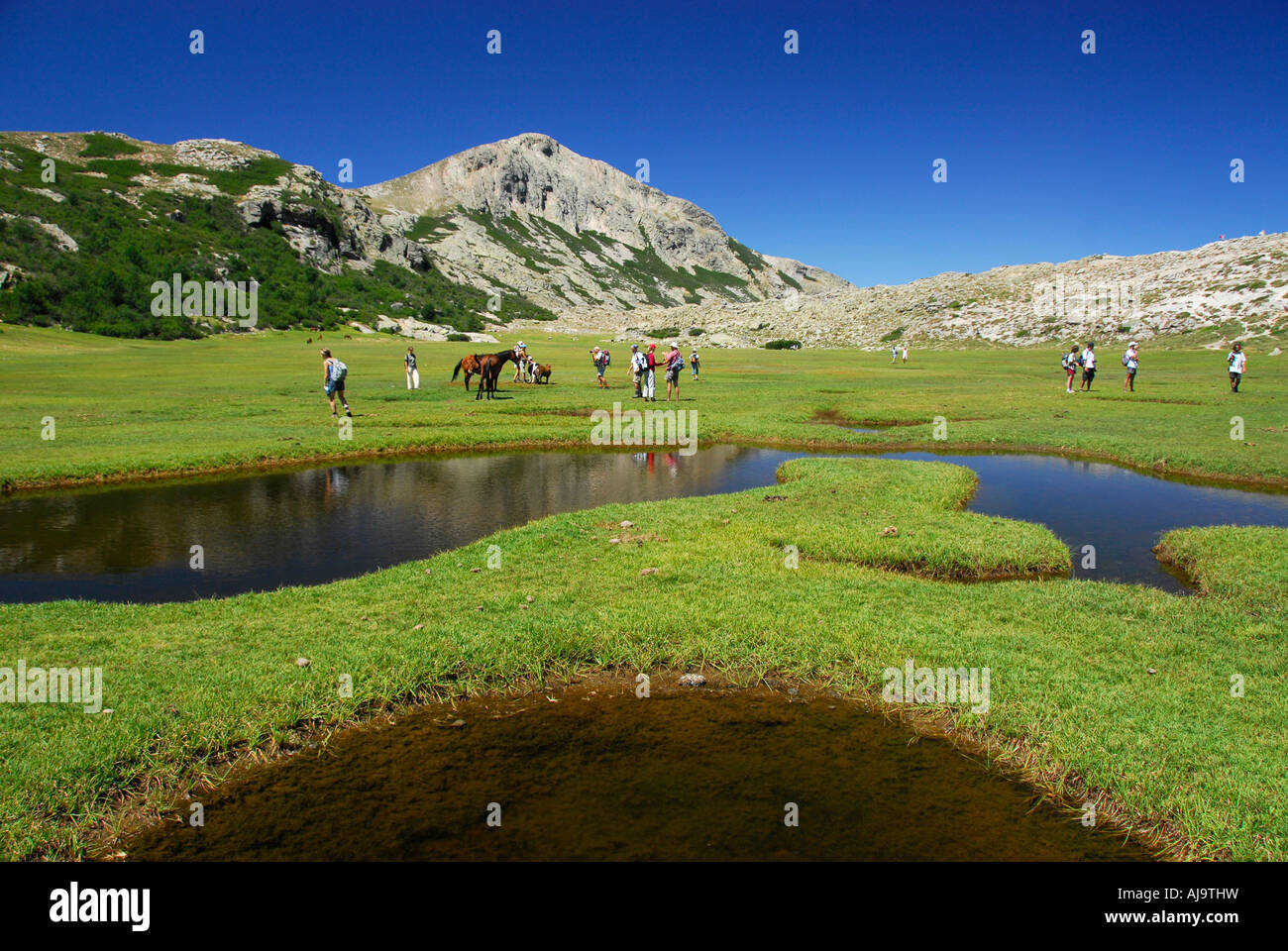 Nag lake hi-res stock photography and images - Alamy