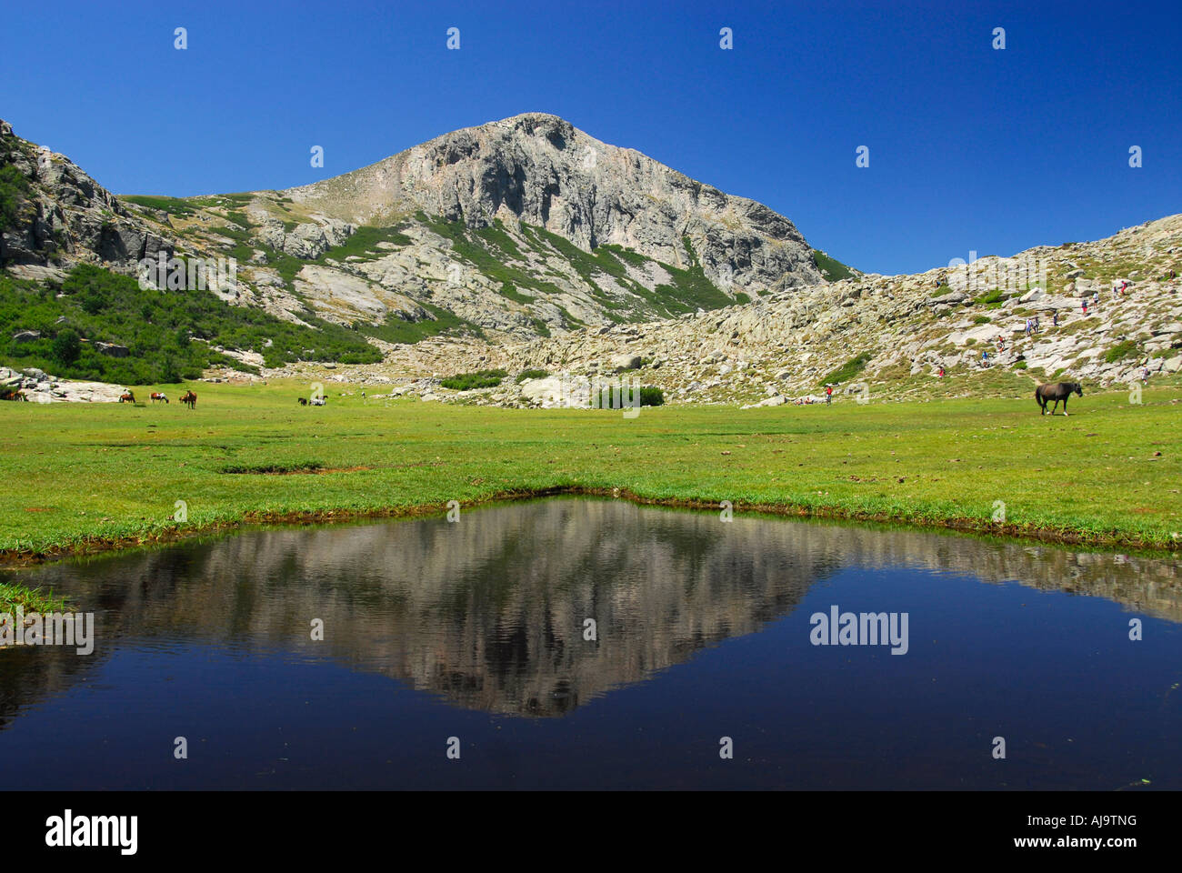 Ninu hi-res stock photography and images - Alamy