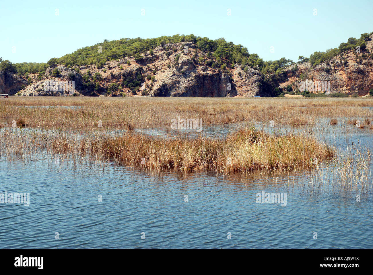 Dalyan River delta in Turkey Stock Photo - Alamy