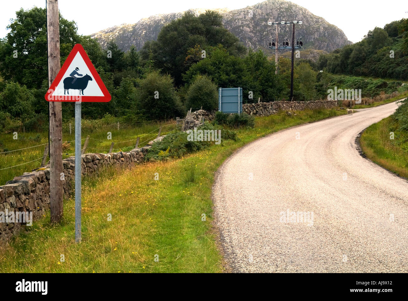 Sheep shagging hi-res stock photography and images - Alamy