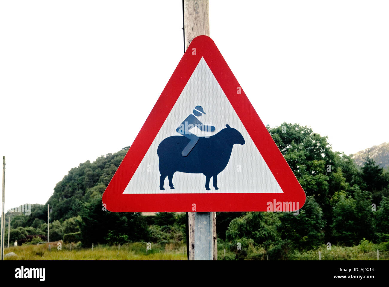 Shagging hi-res stock photography and images - Alamy