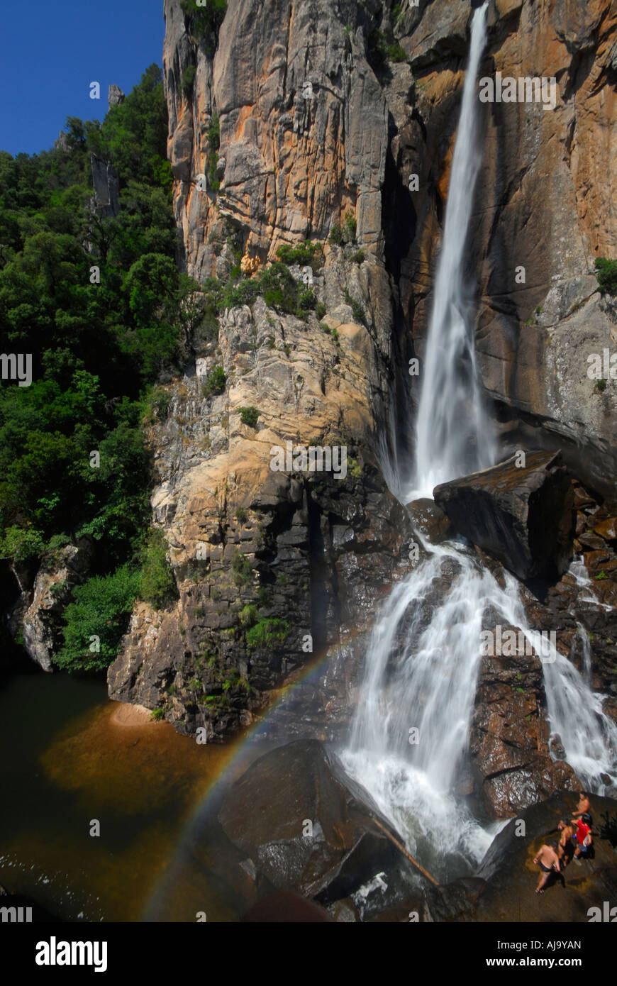 Cascade piscia di gallo hi-res stock photography and images - Alamy