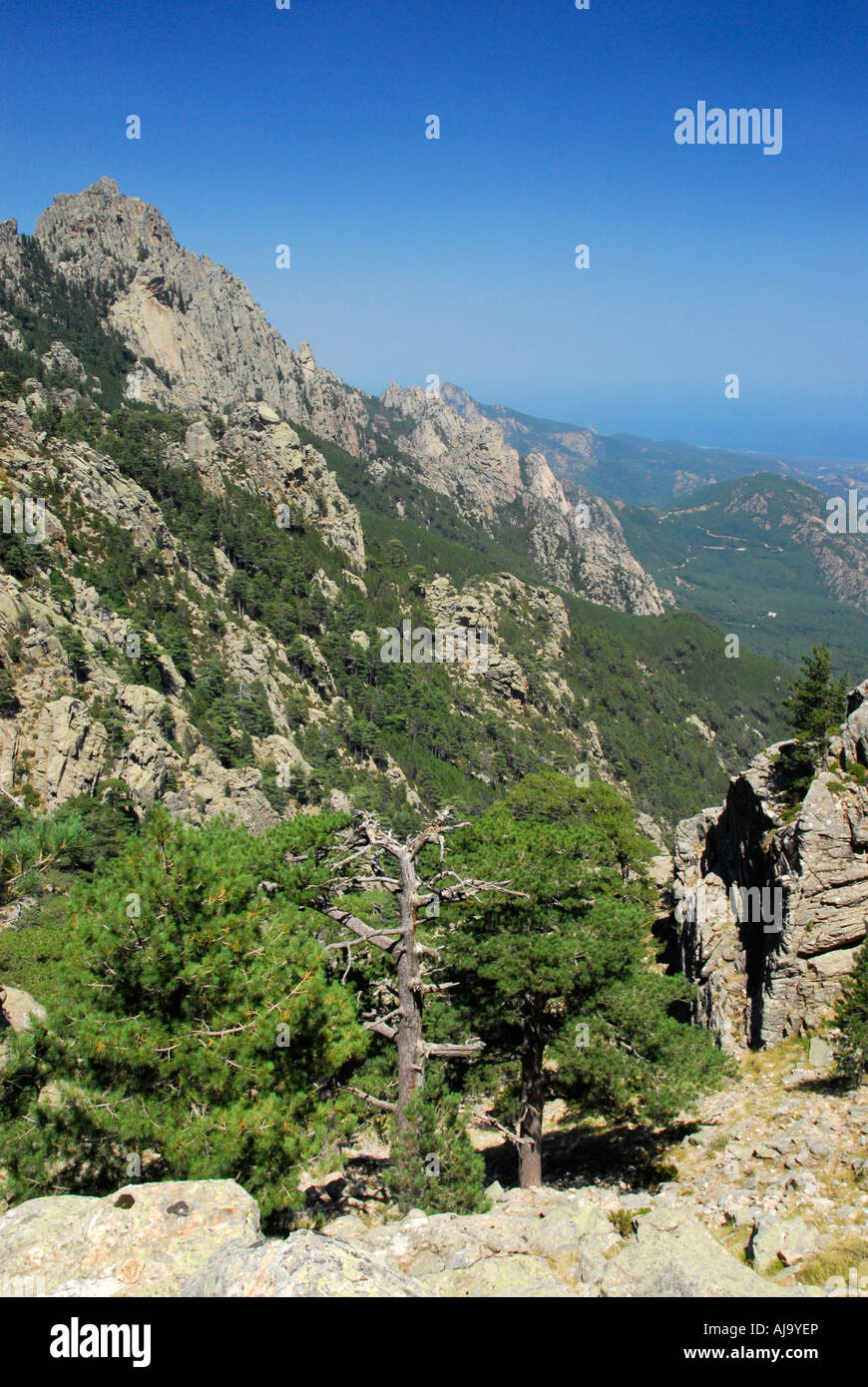 Formation of bavella mountains hi-res stock photography and images - Alamy