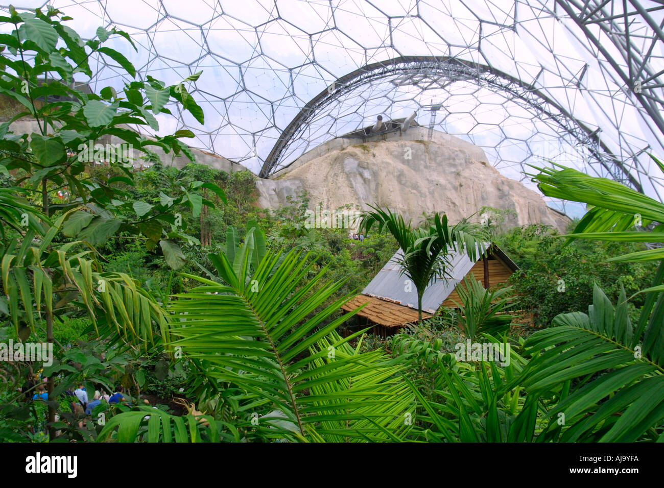 Interior biodome eden project cornwall hi-res stock photography and ...