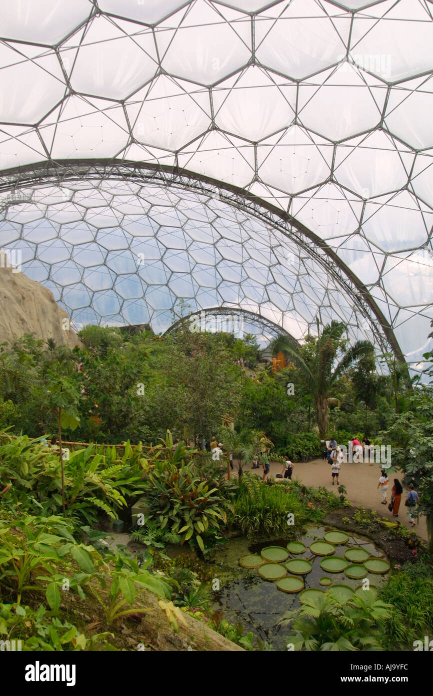 Interior biodome eden project cornwall hi-res stock photography and ...