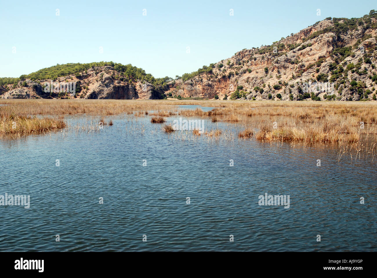 Dalyan River delta in Turkey Stock Photo - Alamy