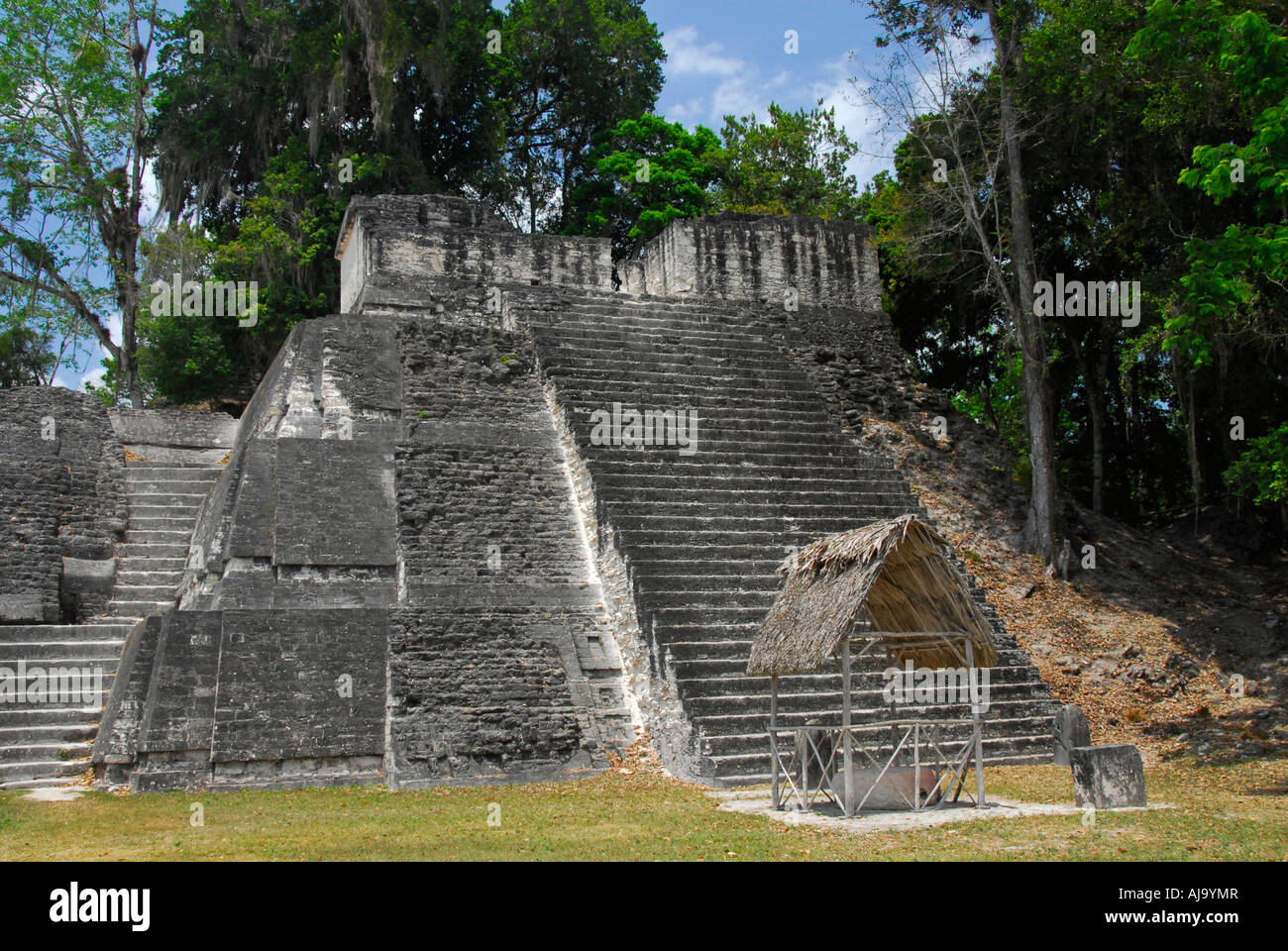 The Great Plaza and North Acropolis in Tikal, Guatemala Stock Photo - Alamy