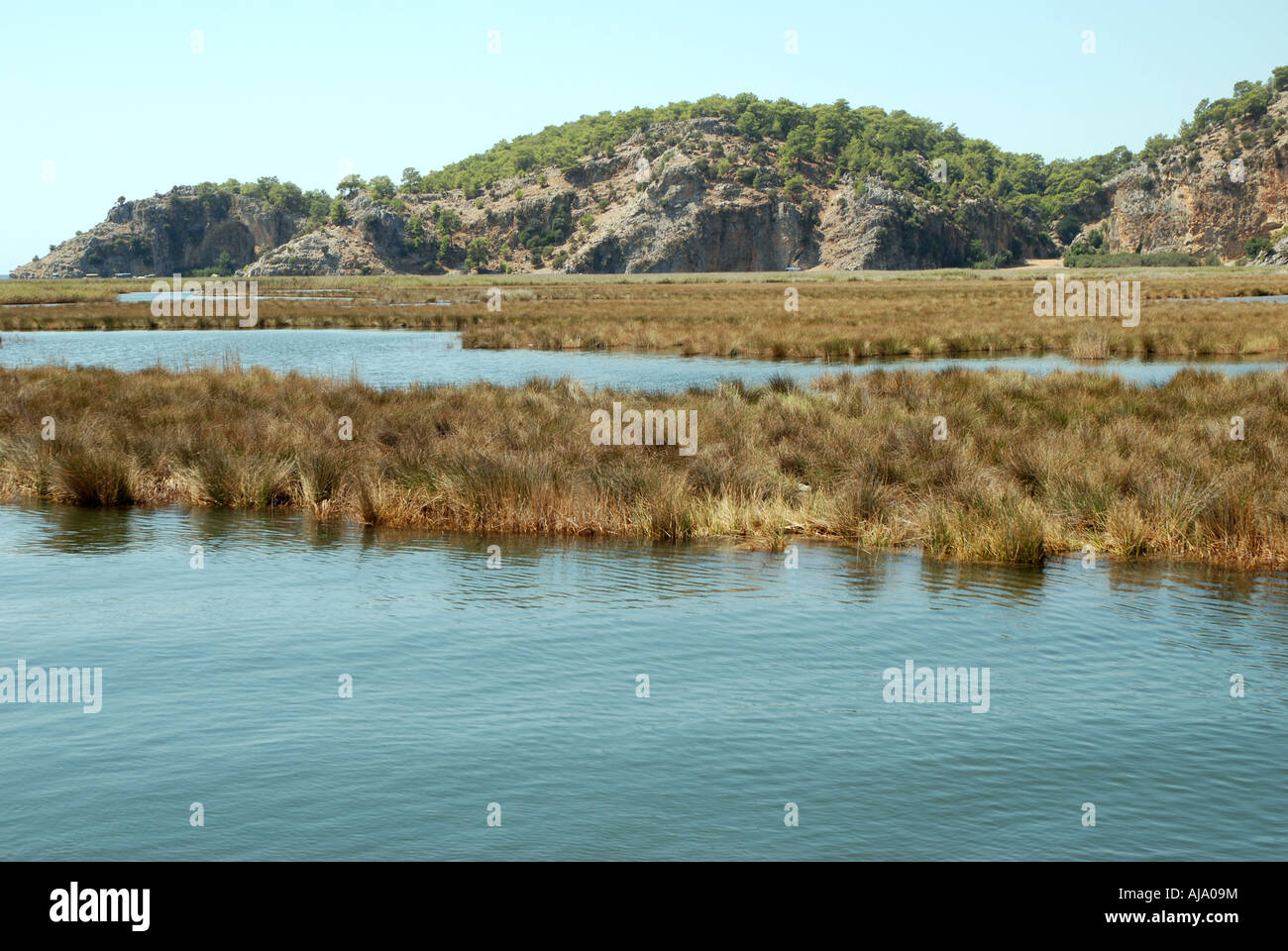 Dalyan River delta in Turkey Stock Photo - Alamy