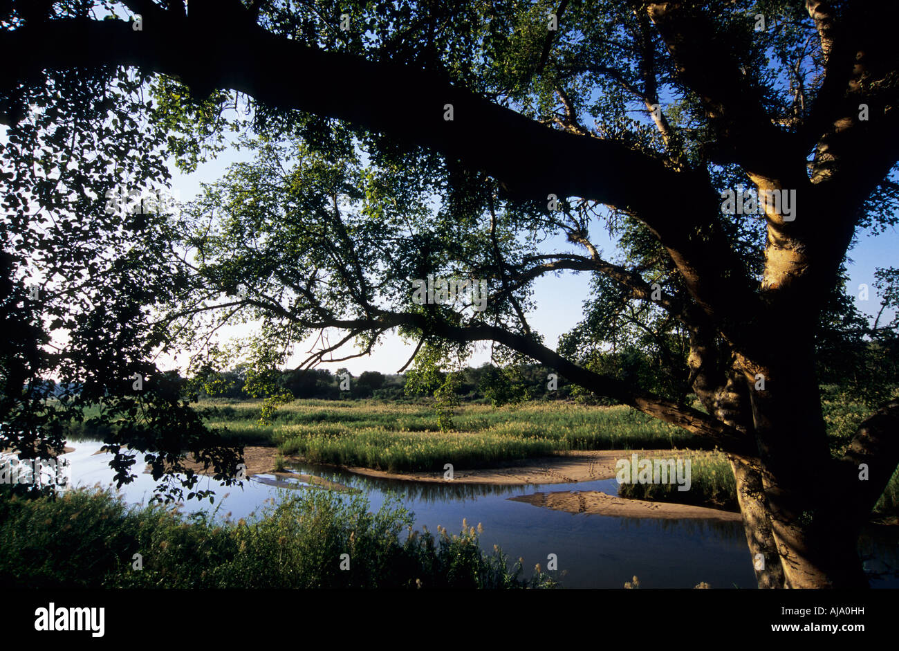 Kruger National Park, South Africa, safari, landscape, view of Sabie ...