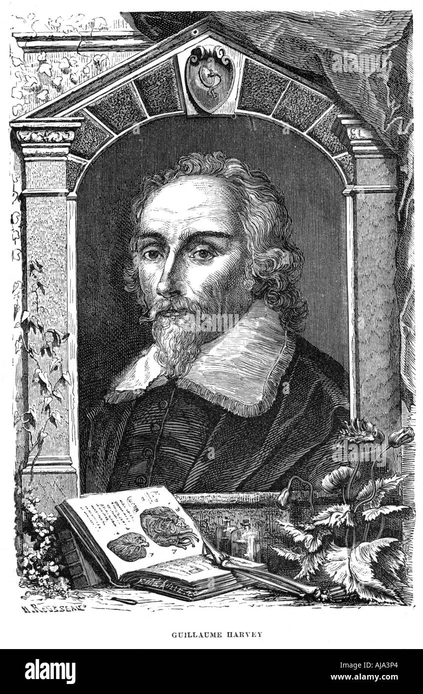 William harvey physician hi-res stock photography and images - Alamy