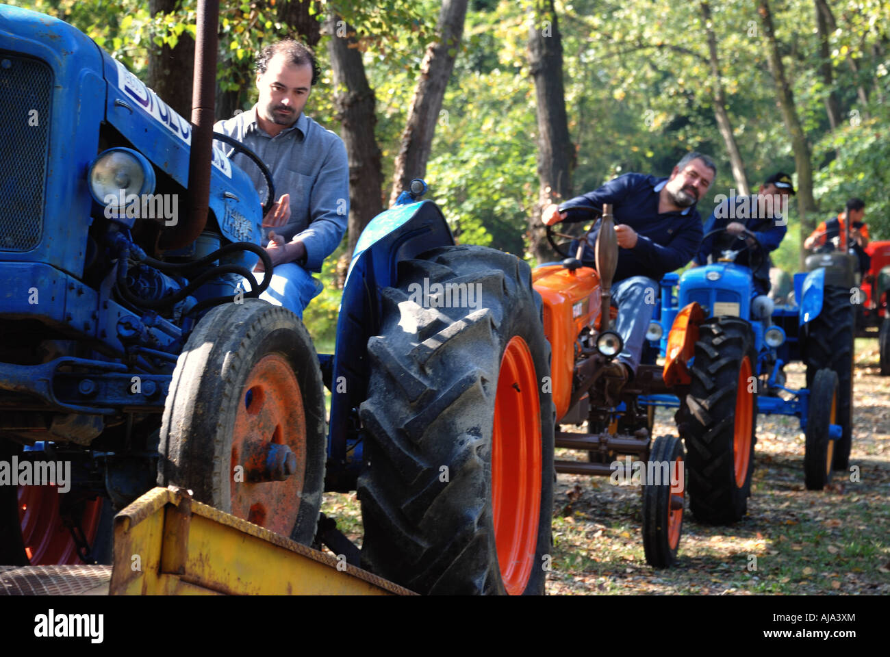 Vintage tractors on parade at a rally in Italy Stock Photo - Alamy