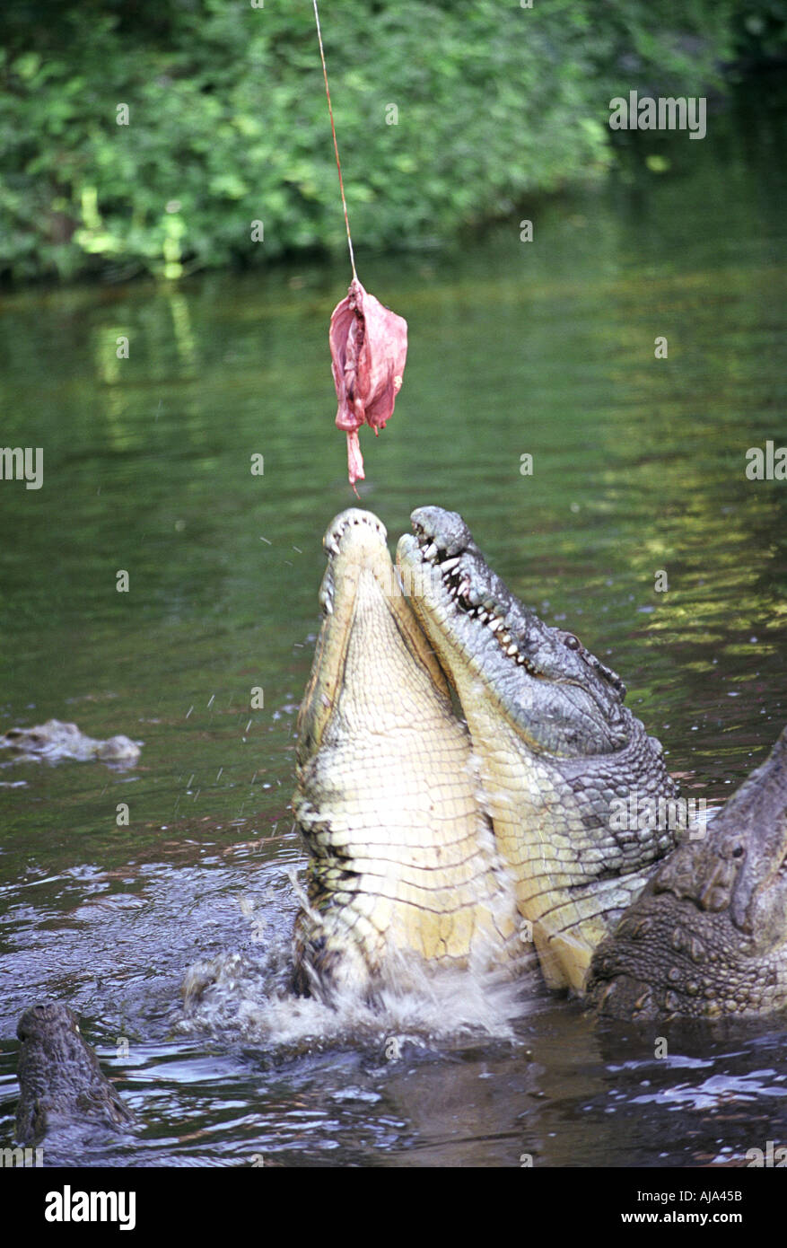 Nile system hi-res stock photography and images - Alamy