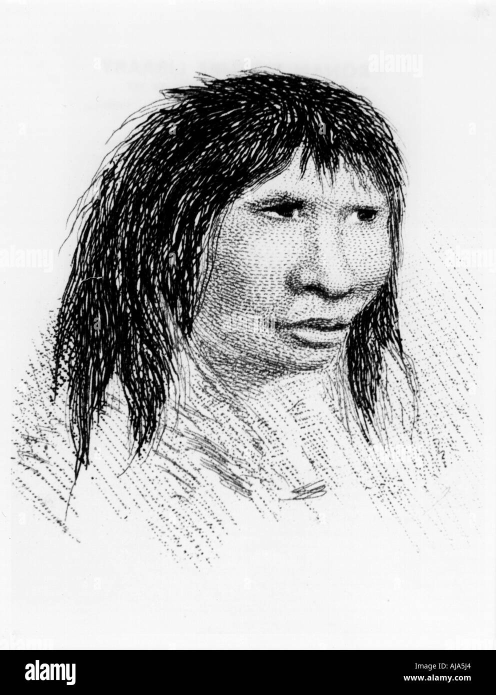 Fuegian dog hi-res stock photography and images - Alamy