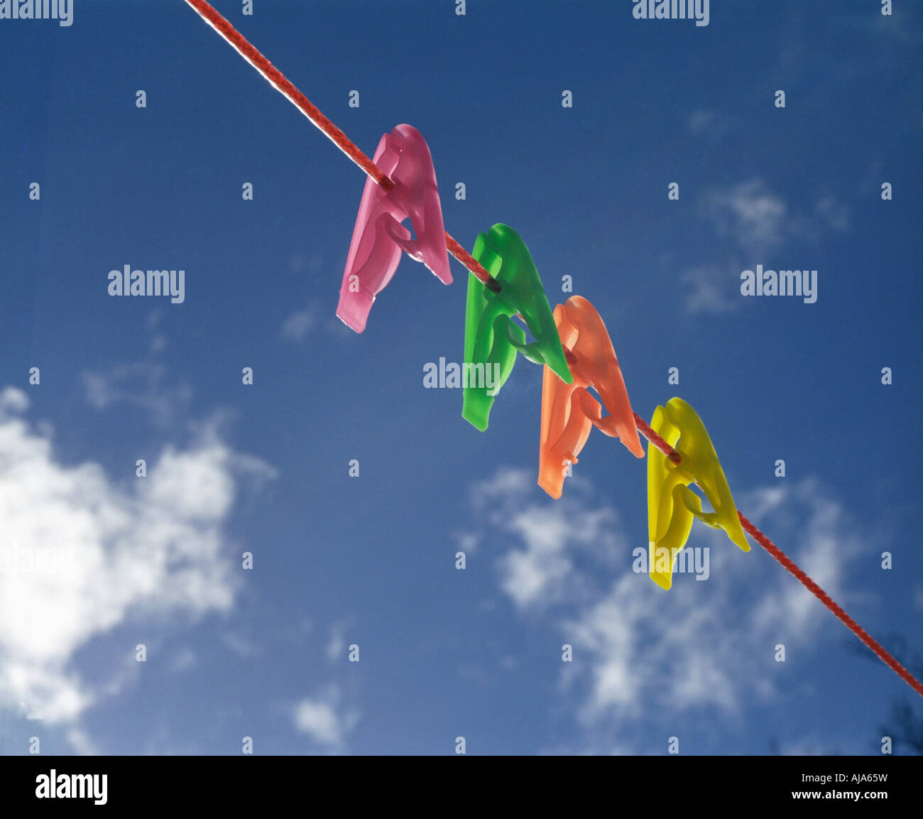 Clothes pegs, pink, green orange and yellow clothes pegs on clothes ...