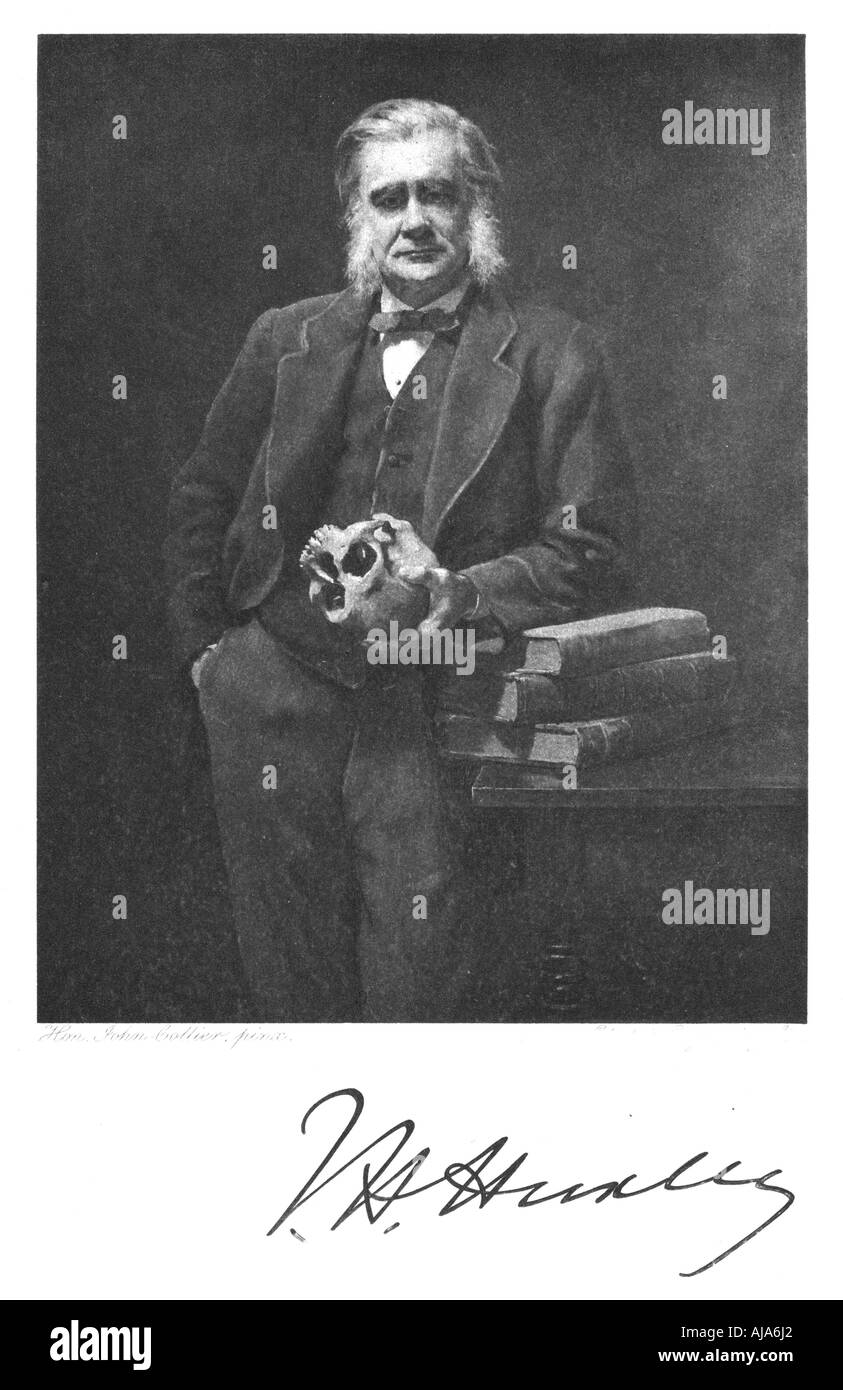 Thomas henry huxley hi-res stock photography and images - Alamy