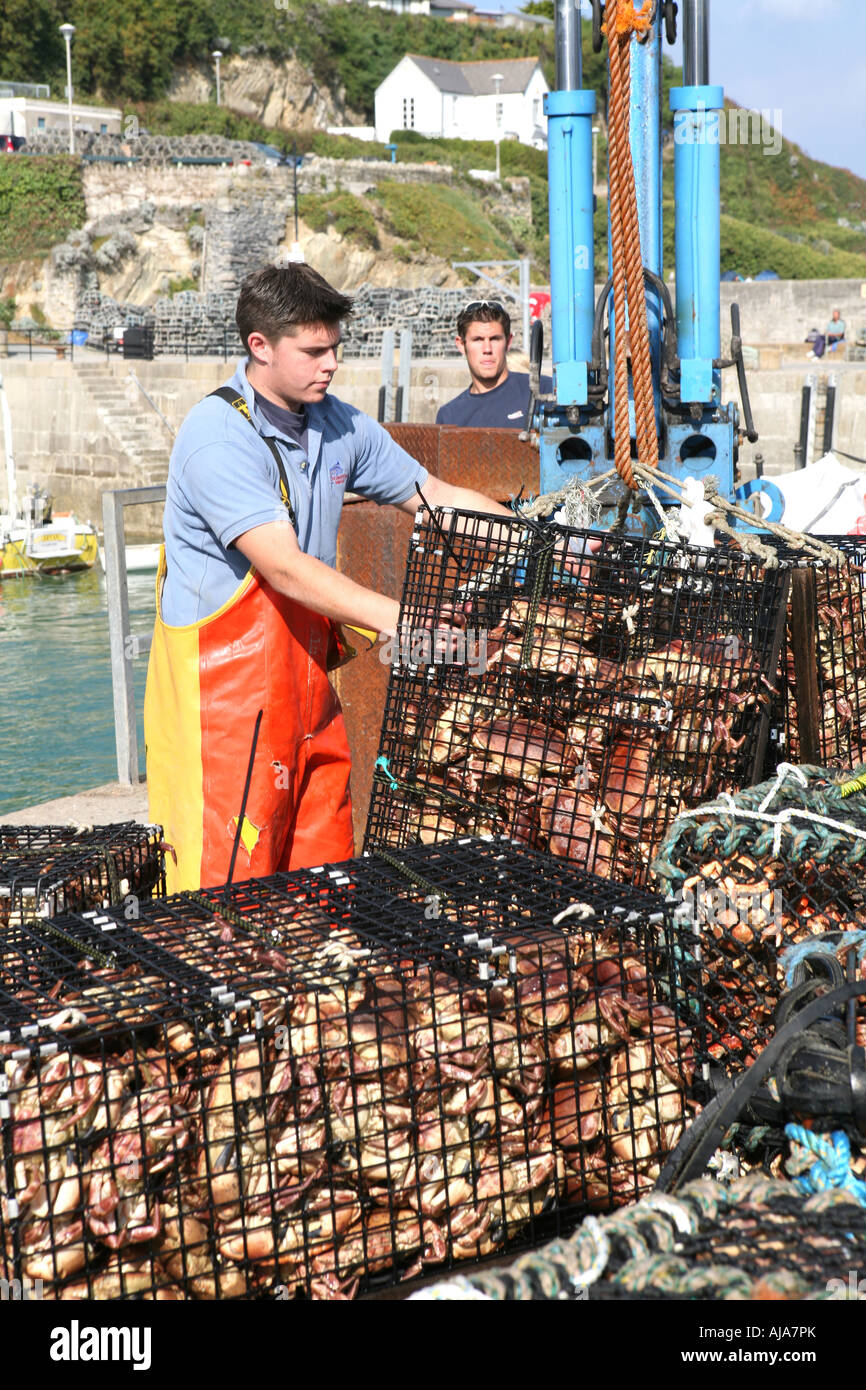 Cornish crabber hi-res stock photography and images - Alamy