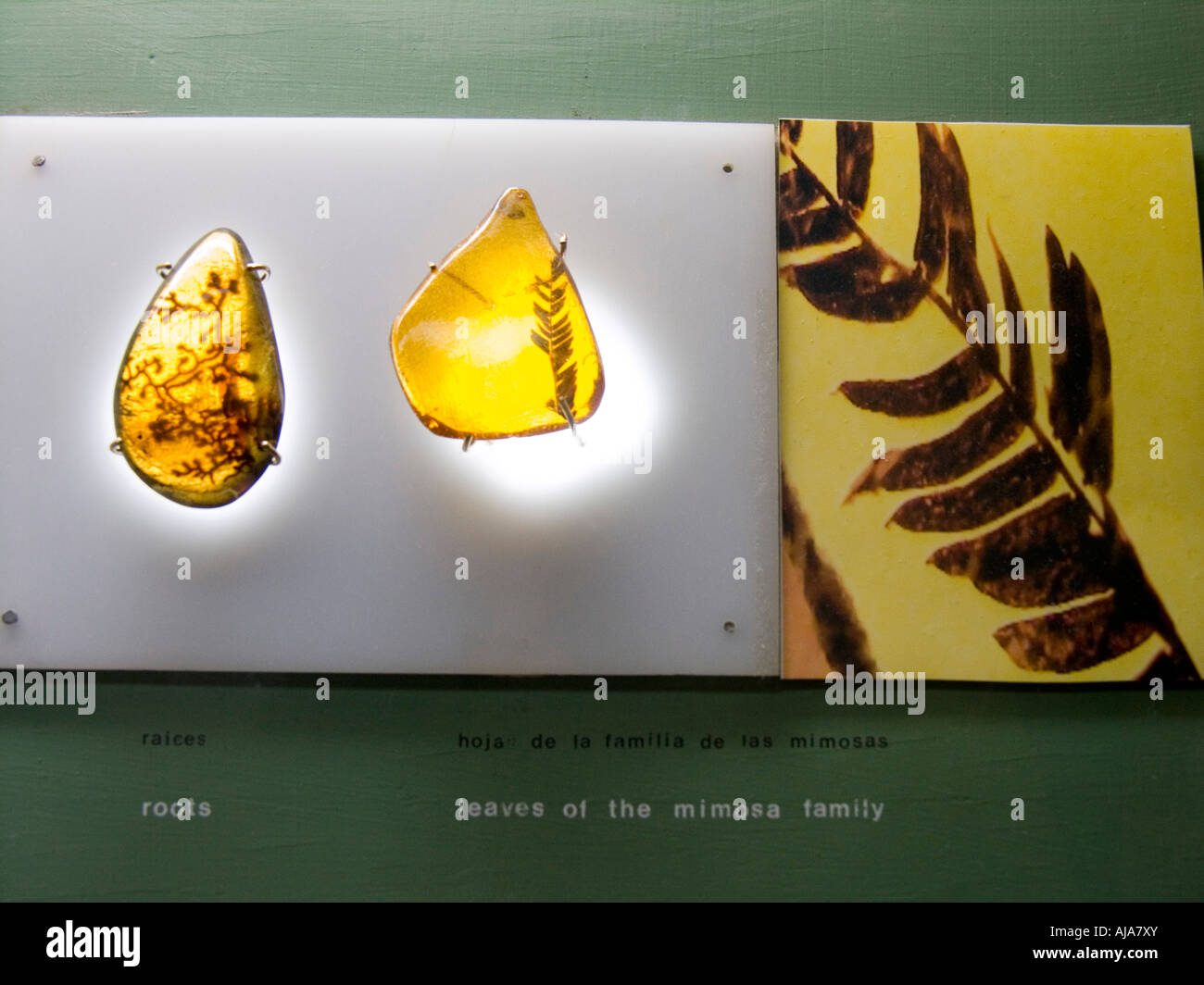 Amber Museum, Puerto Plata, Dominican Republic Stock Photo - Alamy