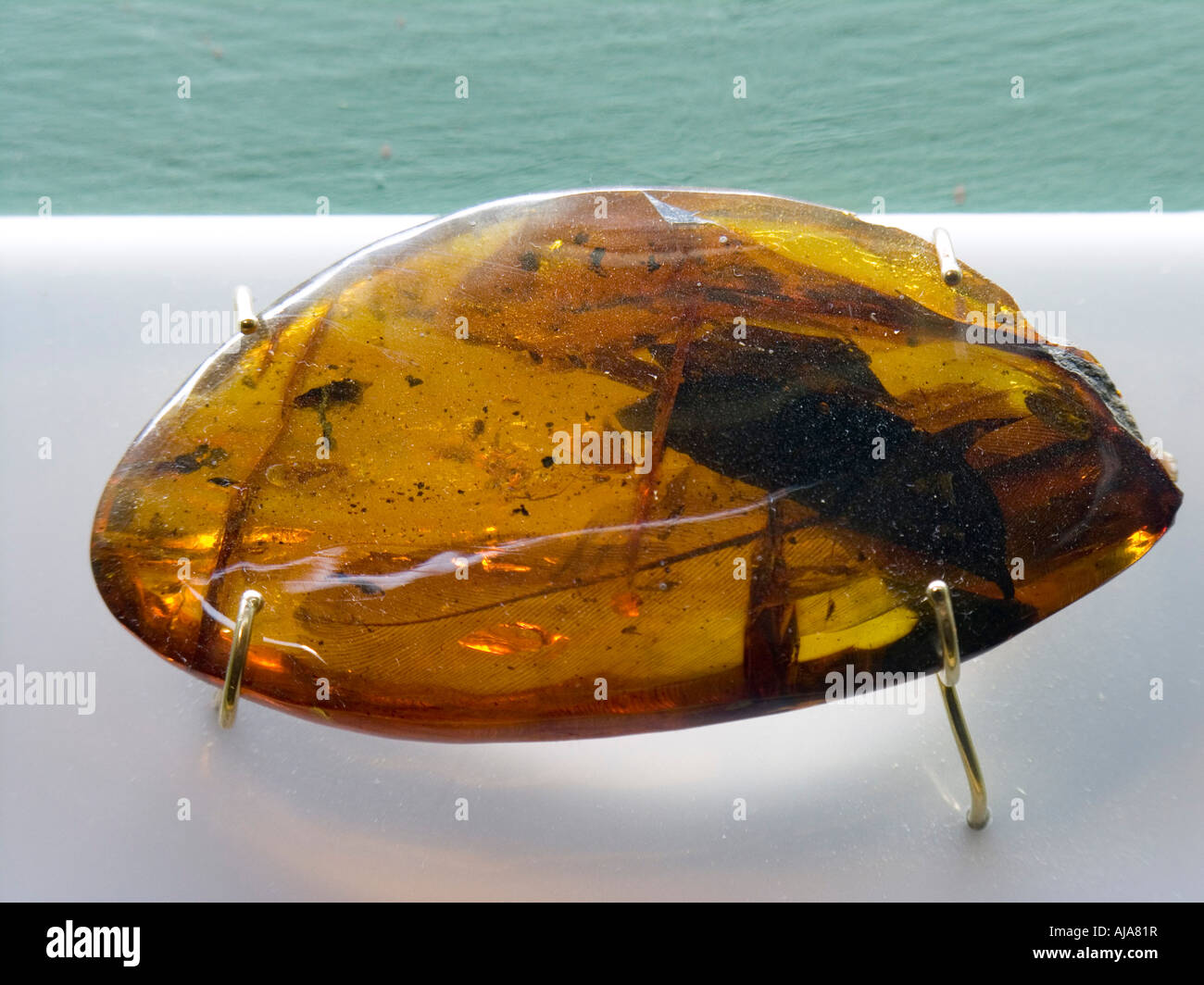 Amber Museum, Puerto Plata, Dominican Republic Stock Photo - Alamy