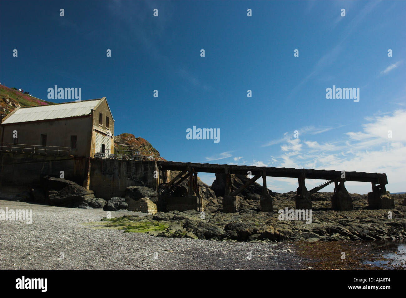 Summer in Cornwall Stock Photo - Alamy