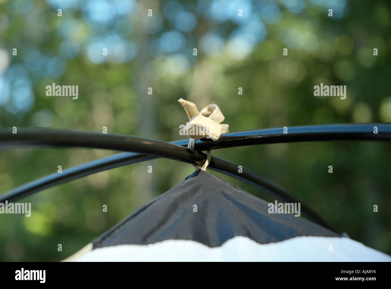 Set up tent hi-res stock photography and images - Alamy