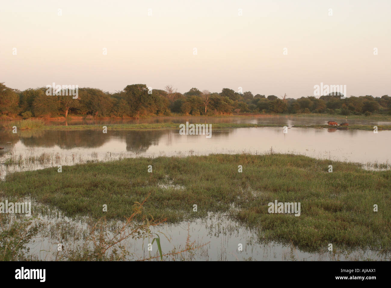 Nsemani dam kruger national park hi-res stock photography and images ...
