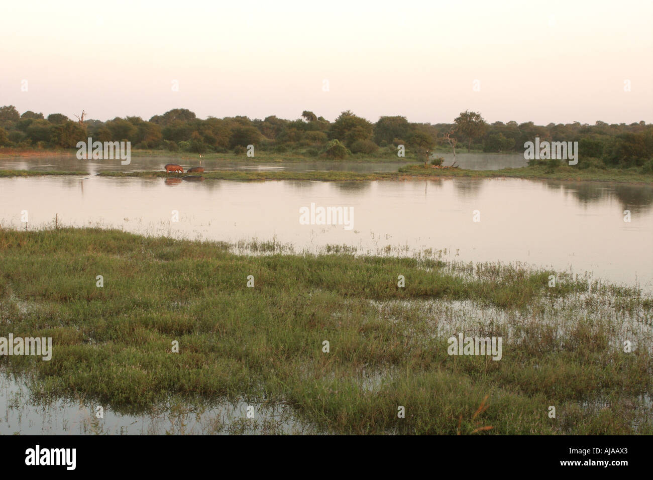 Nsemani dam hi-res stock photography and images - Alamy