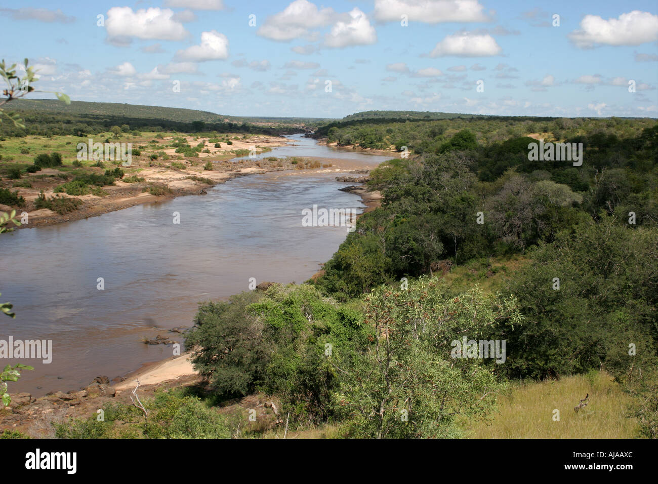 Oliphants hi-res stock photography and images - Alamy