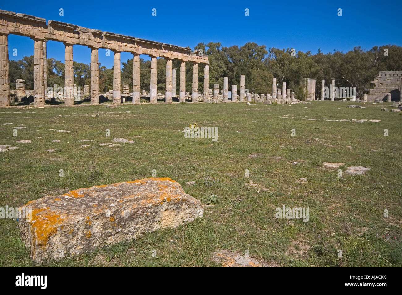 Libya cyrene hi-res stock photography and images - Alamy