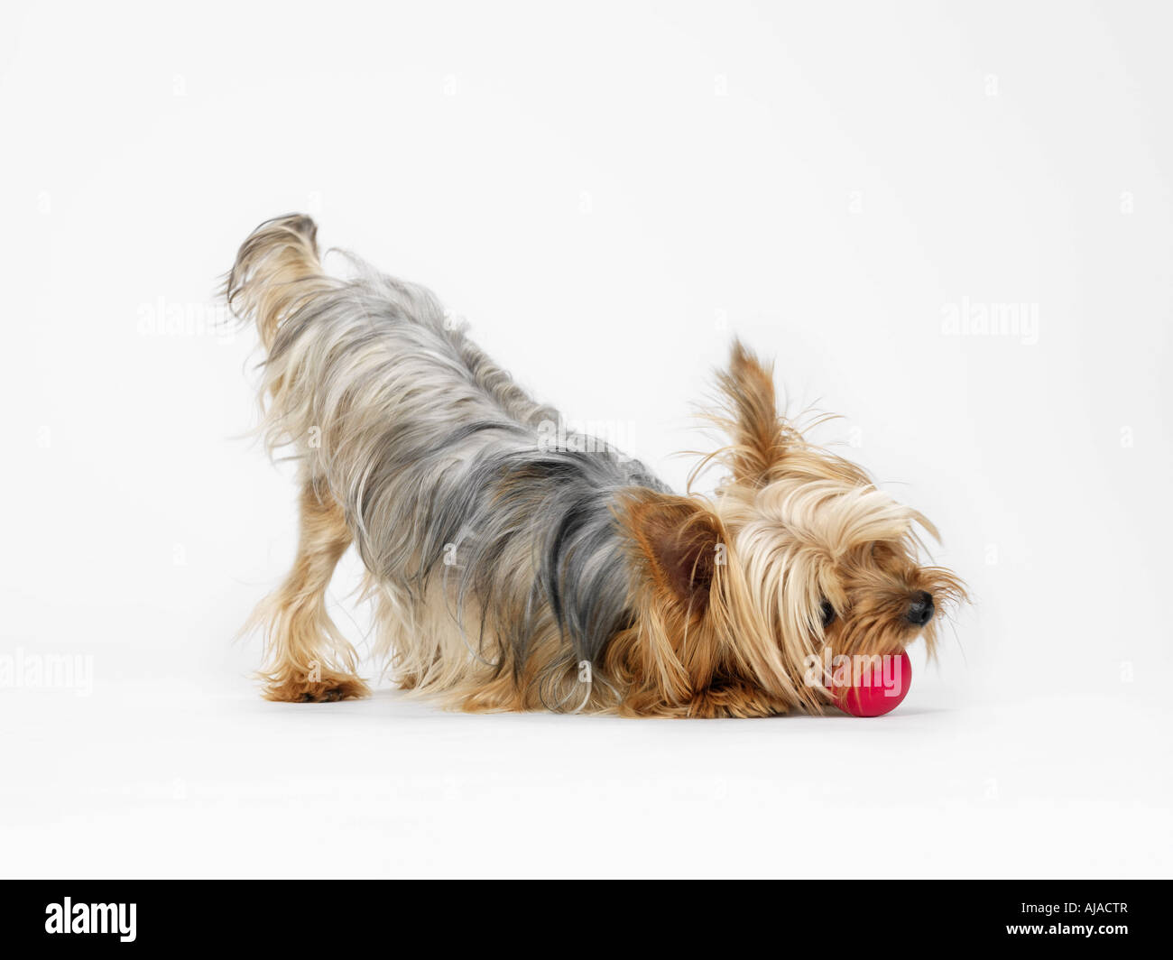 Radius images play hi-res stock photography and images - Alamy