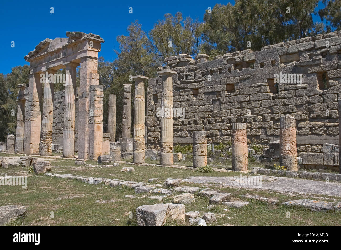 Proculus hi-res stock photography and images - Alamy