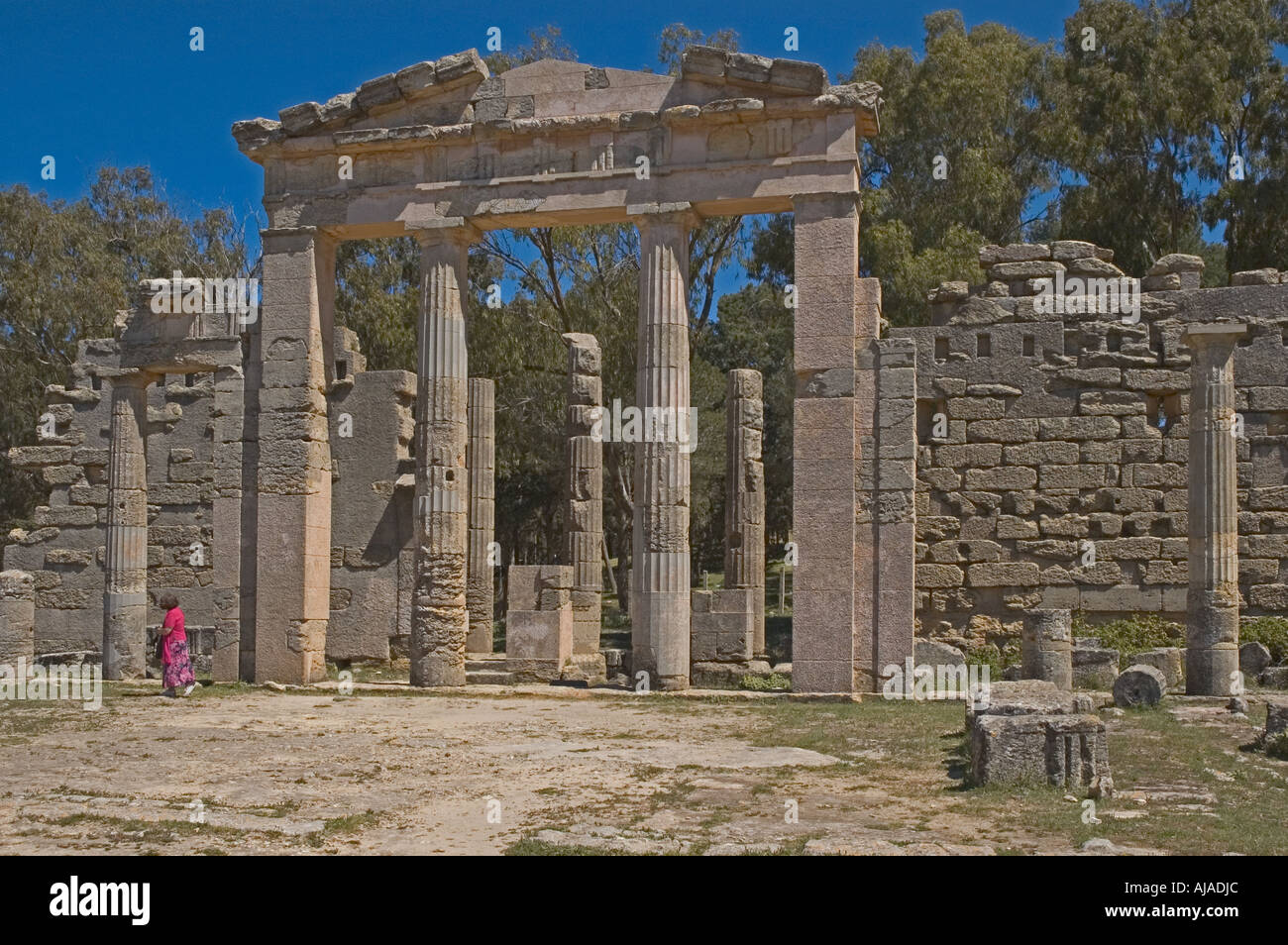 Forum of proculus hi-res stock photography and images - Alamy