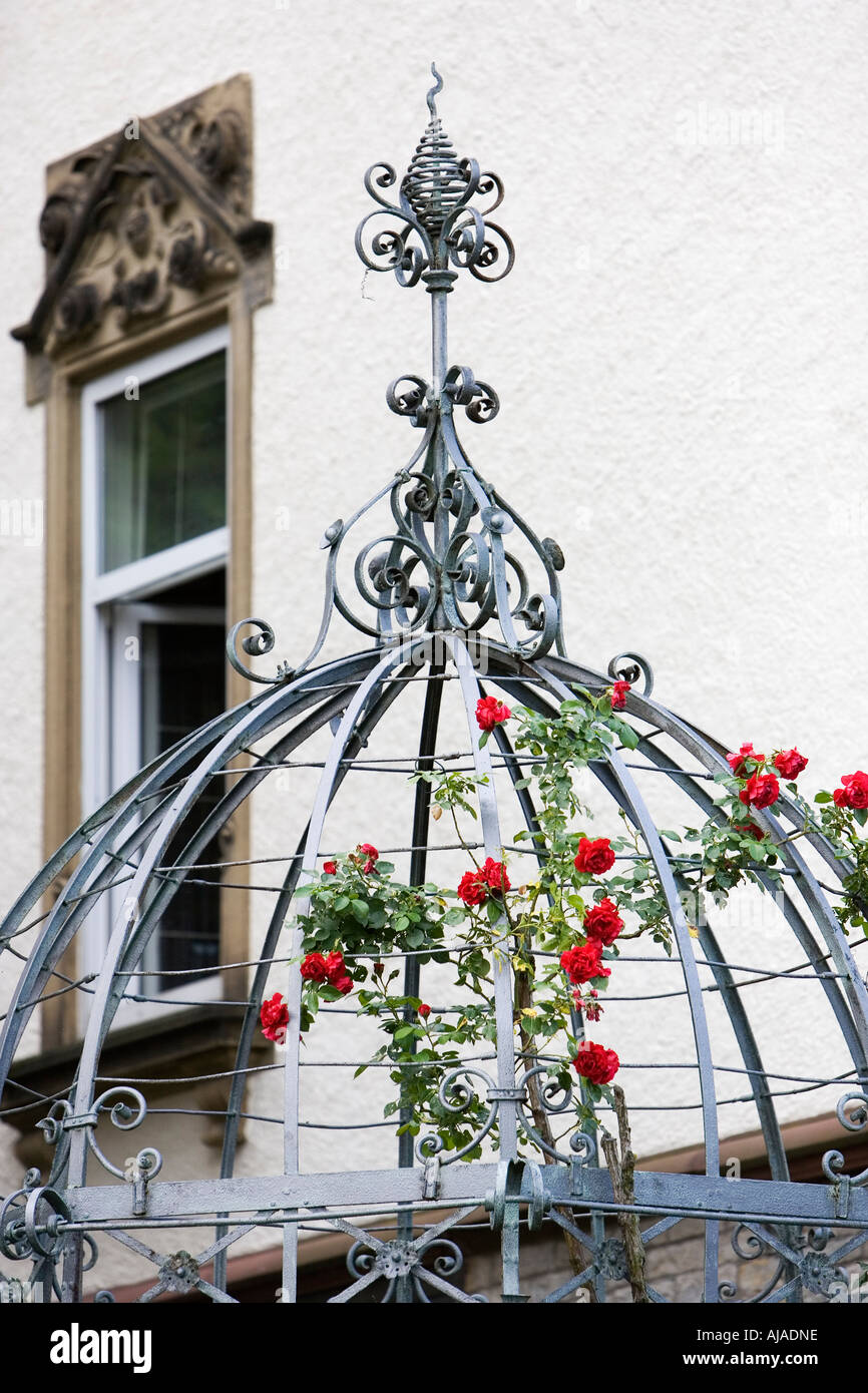 Stock photograph of roses on a decorative frame in a garden Heidelberg ...