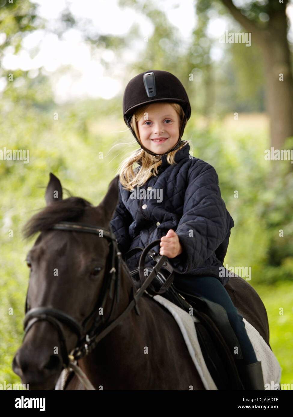 Black pony hi-res stock photography and images - Alamy