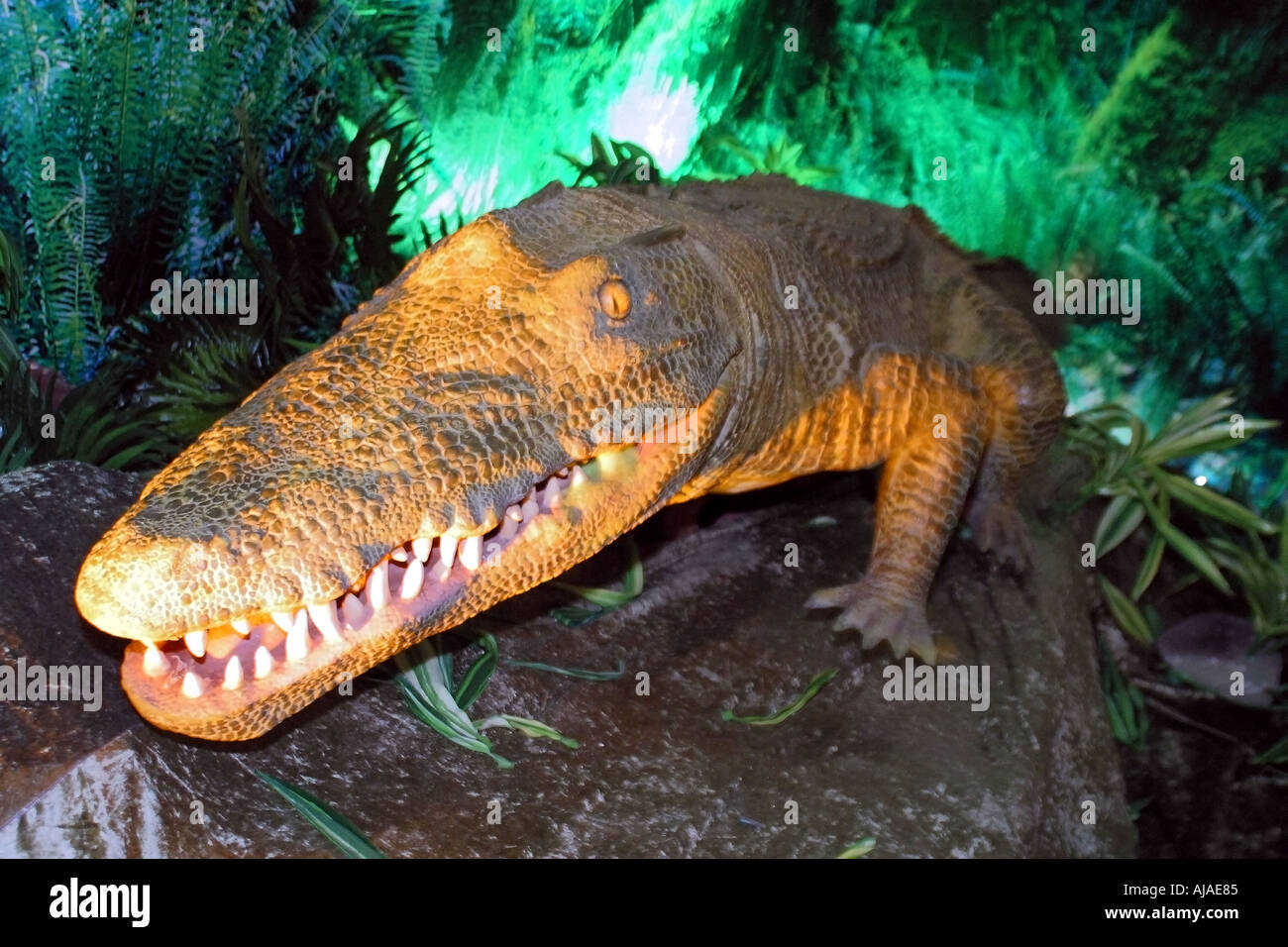 Terror crocodile hi-res stock photography and images - Alamy