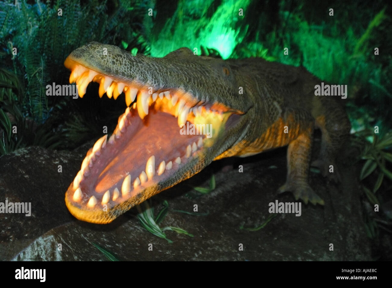 Terror crocodile hi-res stock photography and images - Alamy